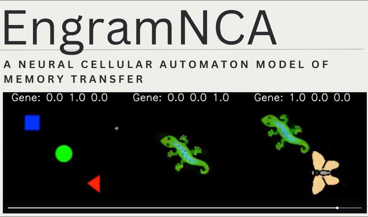 “A Neural Cellular Automaton Model of Memory Transfer” by Etienne Guichard and Stefano Nichele ...