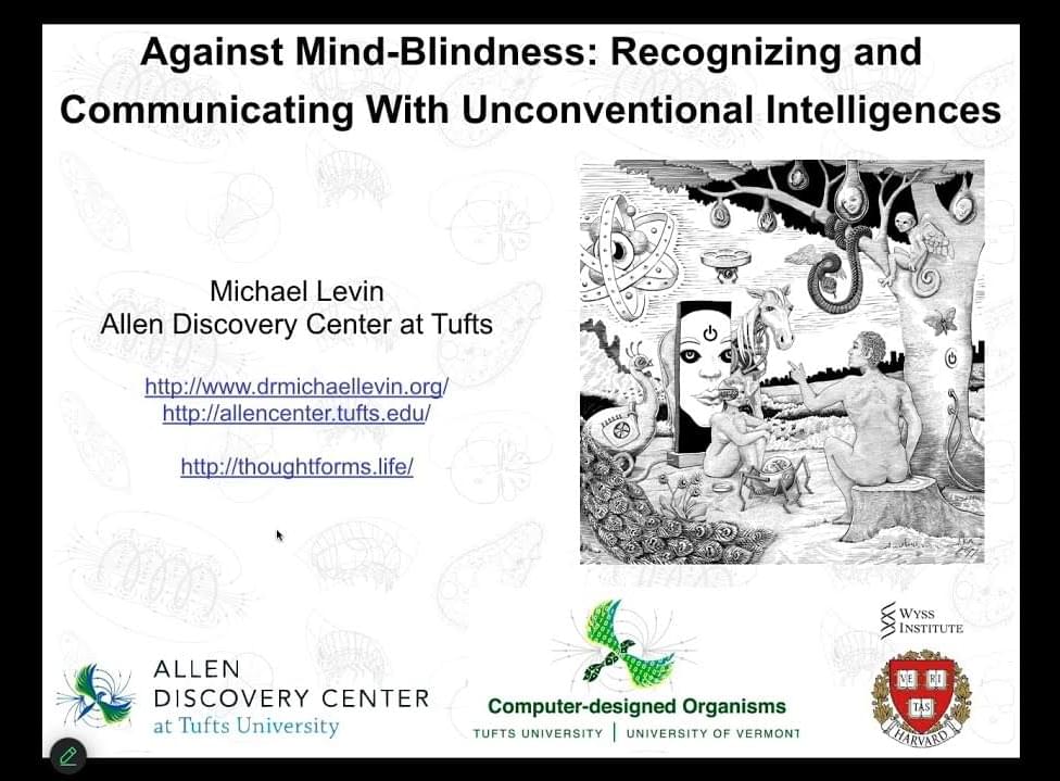 “Against Mind-Blindness” by Michael Levin – Lifeboat News: The Blog