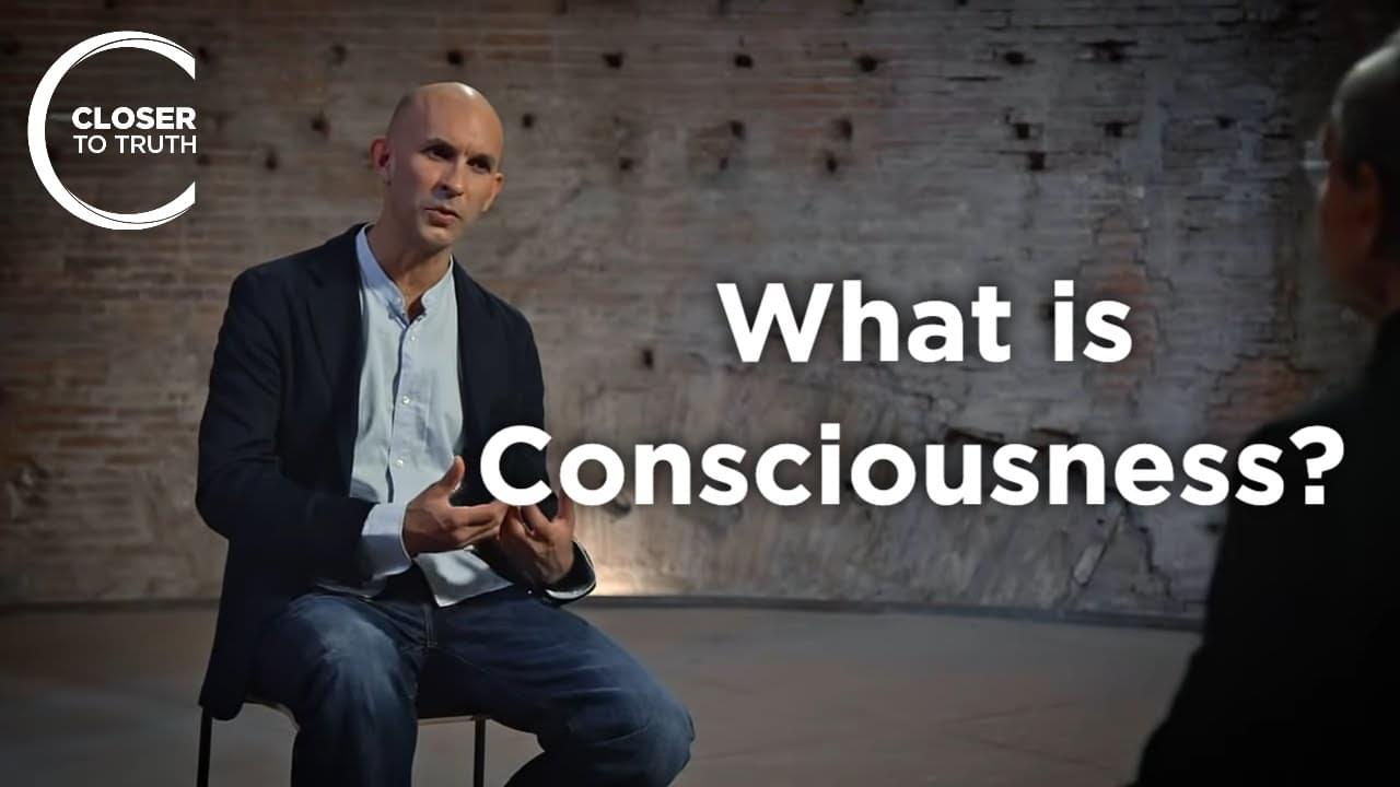 Anil Seth — What is Consciousness: Data or Information? – Lifeboat News ...
