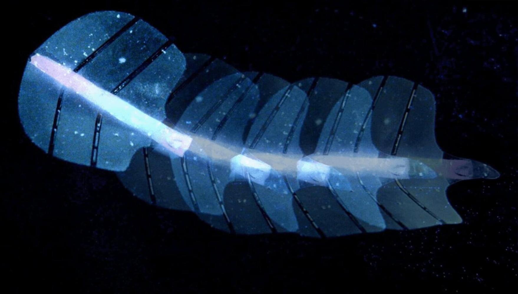 Artificial muscles use ultrasound-activated microbubbles to move ...