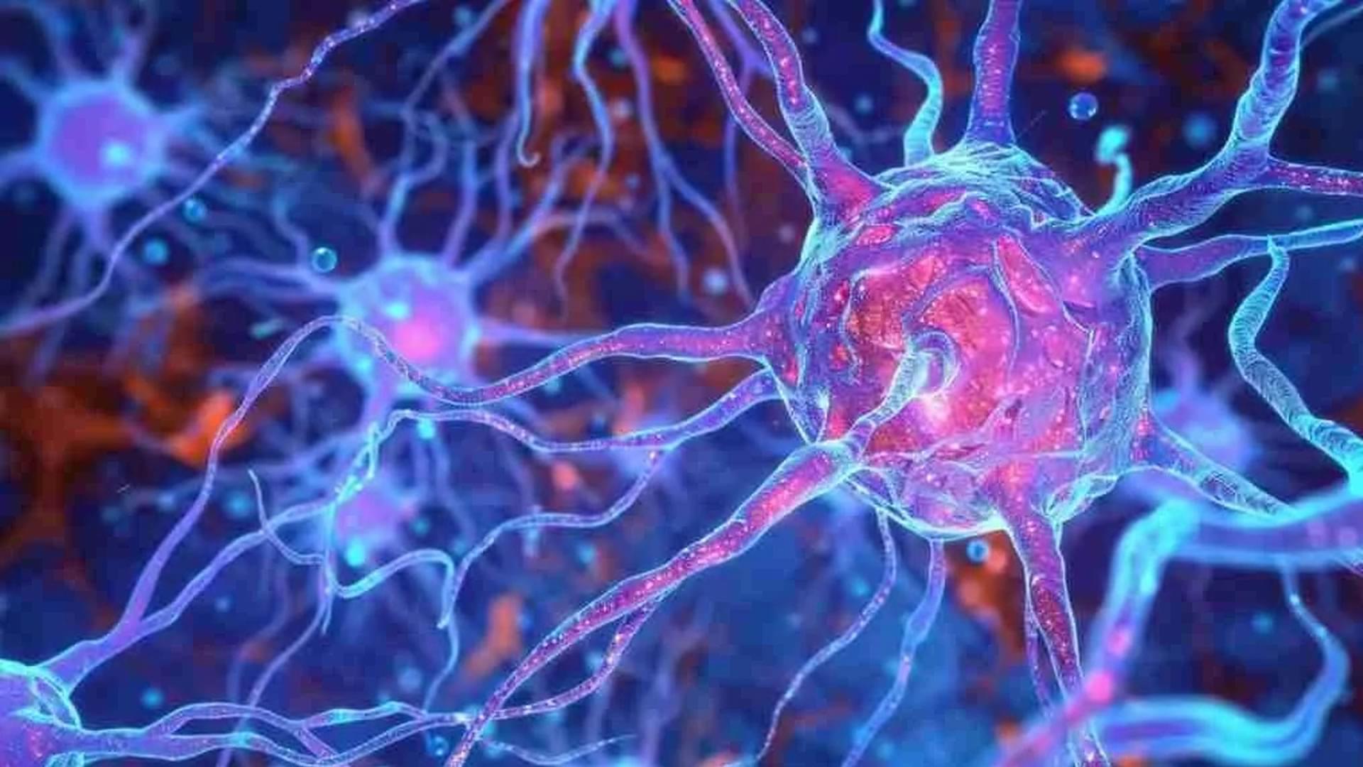 Artificial ‘pain nerves’ could give humanoid robots human-like reflexes ...