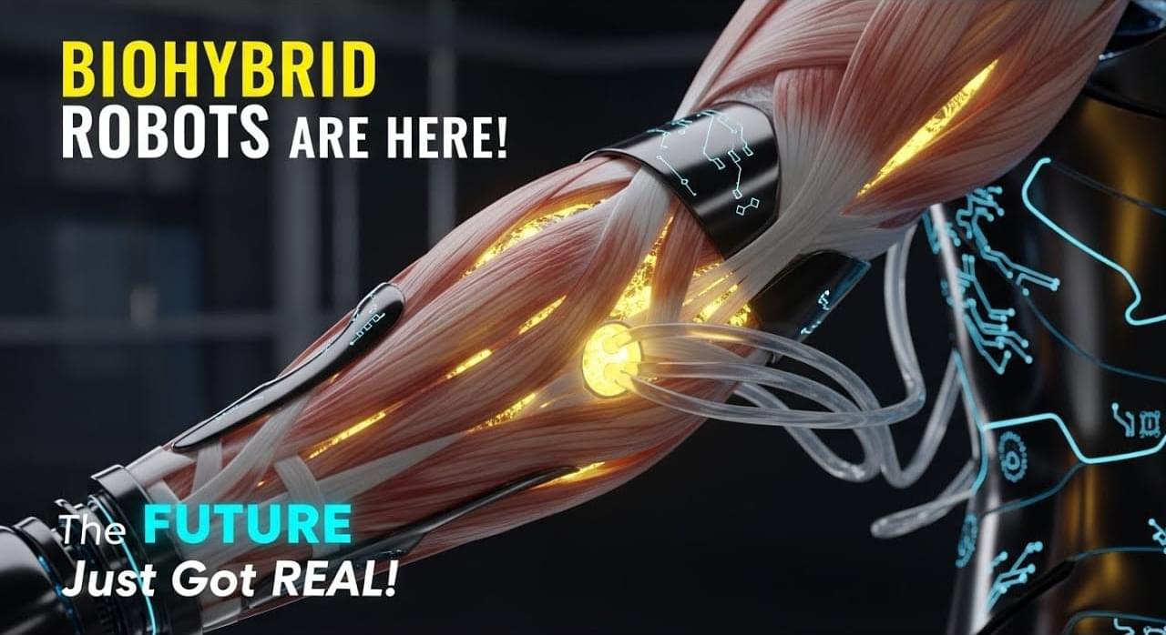 Biohybrid Robots Explained: When Biology Meets Robotics & AI! # ...