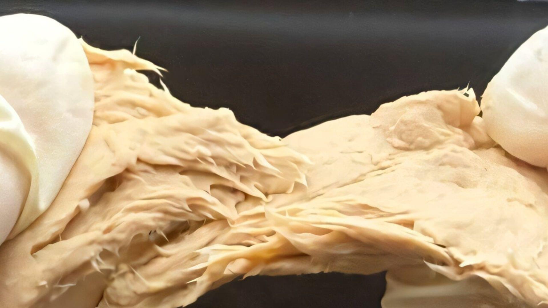 China scientists gene edit fungus into meat-like food with less land ...