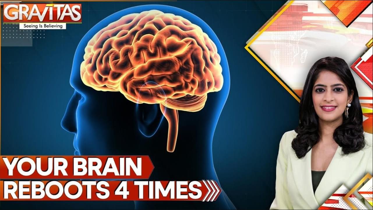Does the Brain Become Dull With Age? New Study Shows How the Brain ...