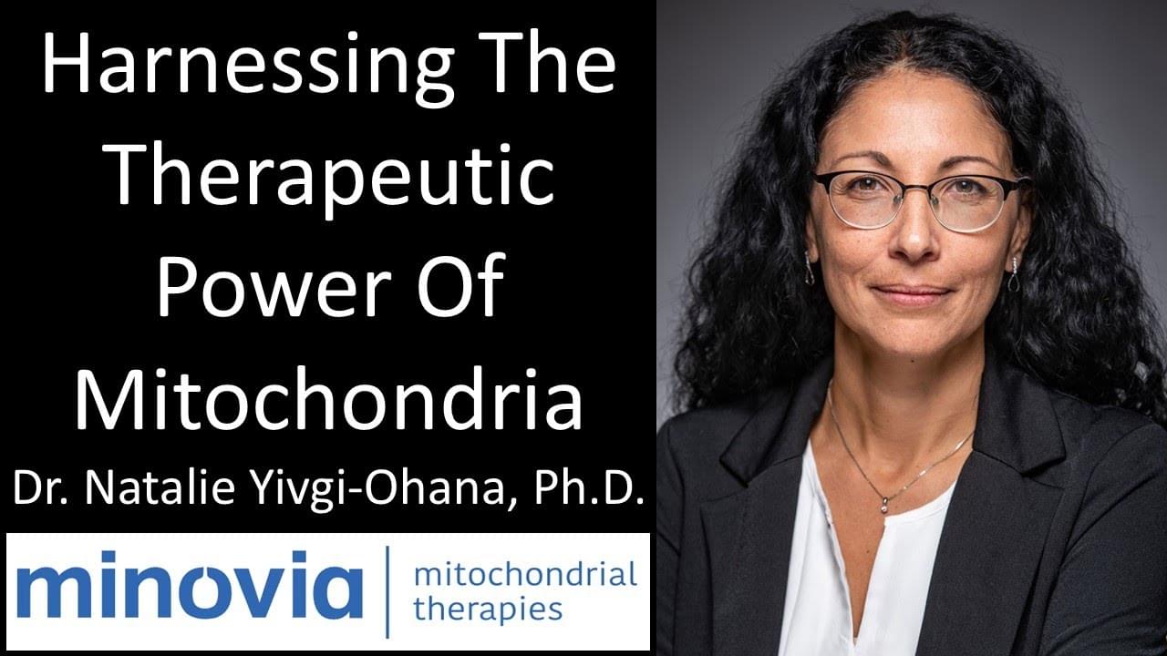 Dr. Natalie Yivgi-Ohana, Ph.D. — CEO, Minovia — Harnessing The ...