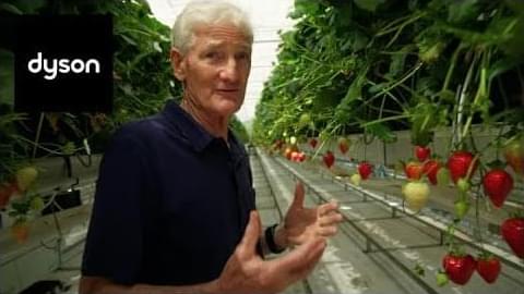 Dyson engineers boost strawberry yields by 250% in technology ...