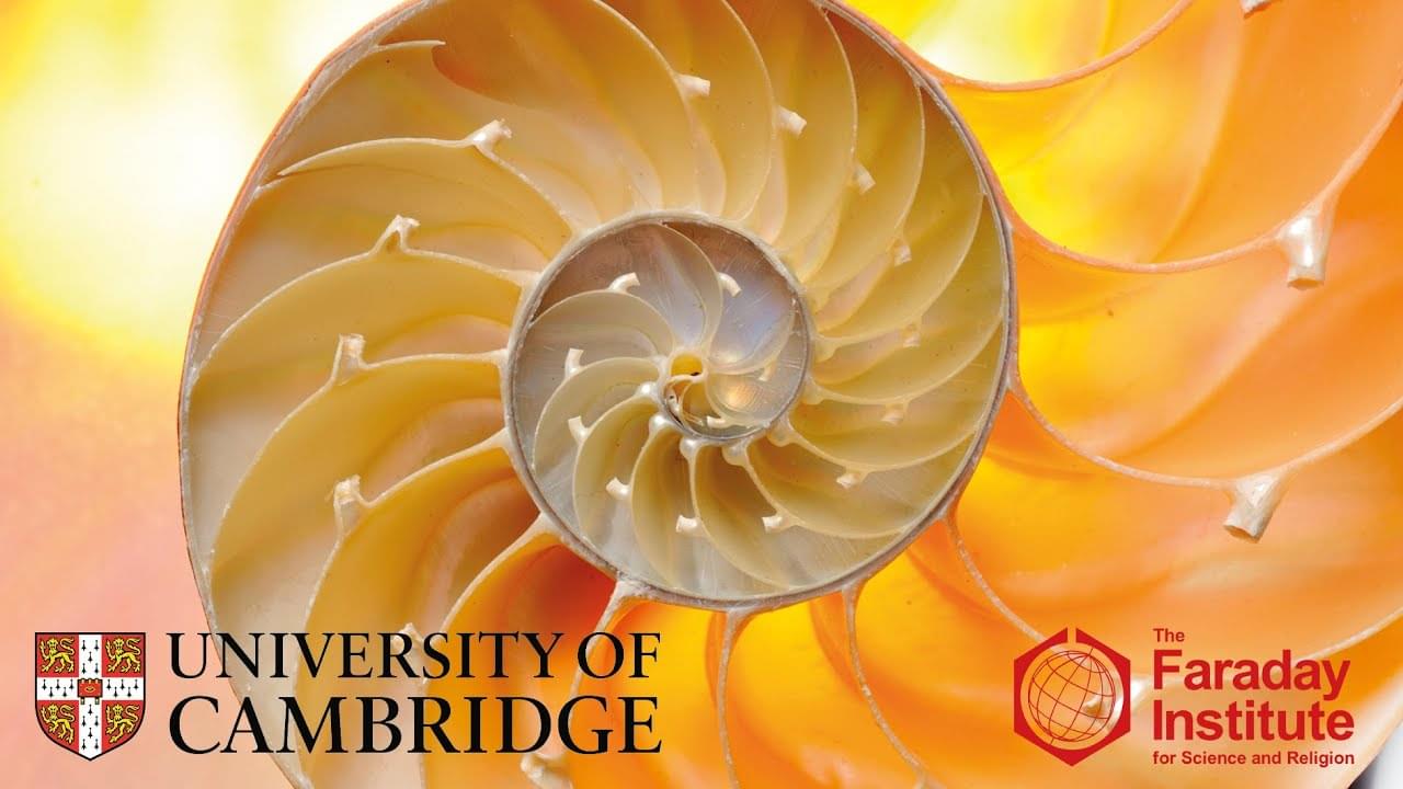 Emergence — Prof. Philip Clayton – Lifeboat News: The Blog