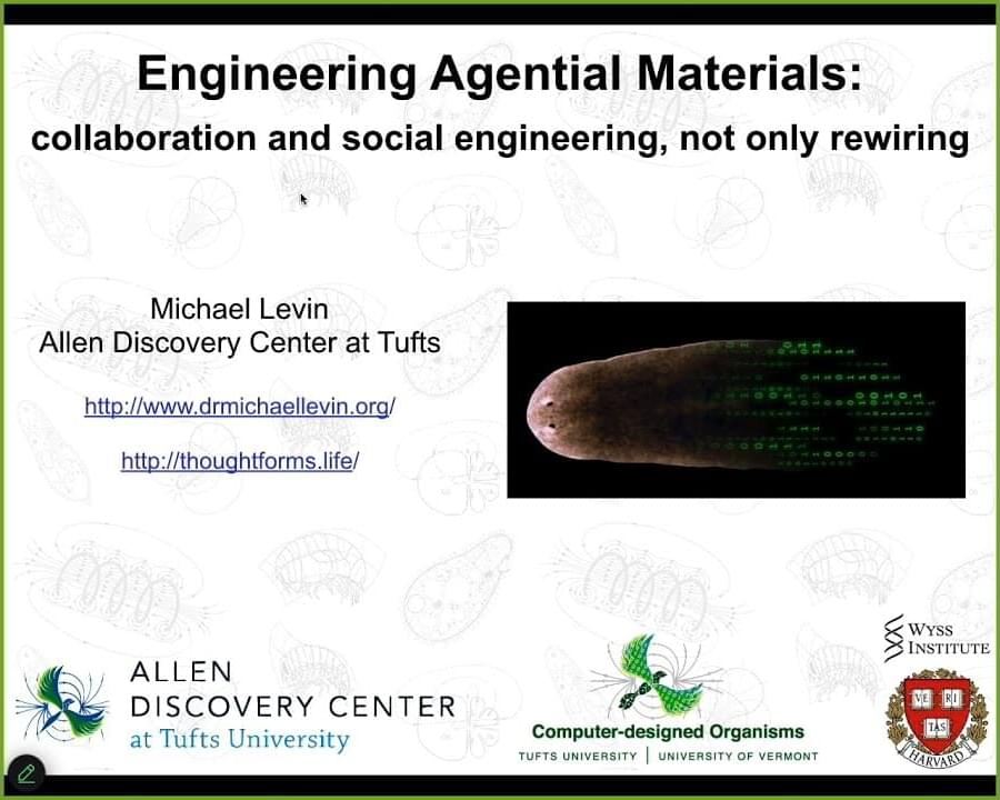 “Engineering Agential Materials” by Michael Levin – Lifeboat News: The Blog