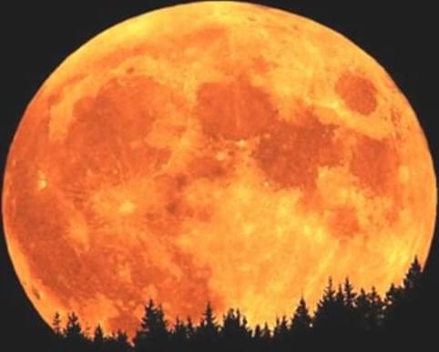 Einstein “is the Moon there when no one looks?” – Lifeboat News: The Blog