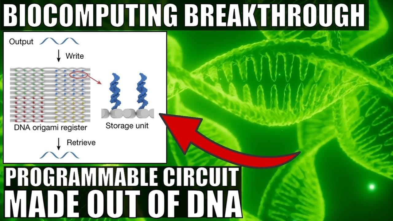 First Ever Programmable DNA Circuit Is a Breakthrough In Biocomputing ...