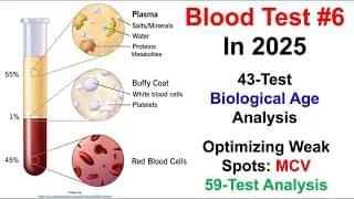 How To Track And Optimize Biomarkers: Blood Test #6 in 2025 – Lifeboat ...