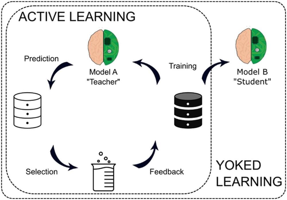 Machine Learning Models Teach Each Other To Identify Molecular Properties Machine Learning Models Teach Each Other To Identify Molecular Properties