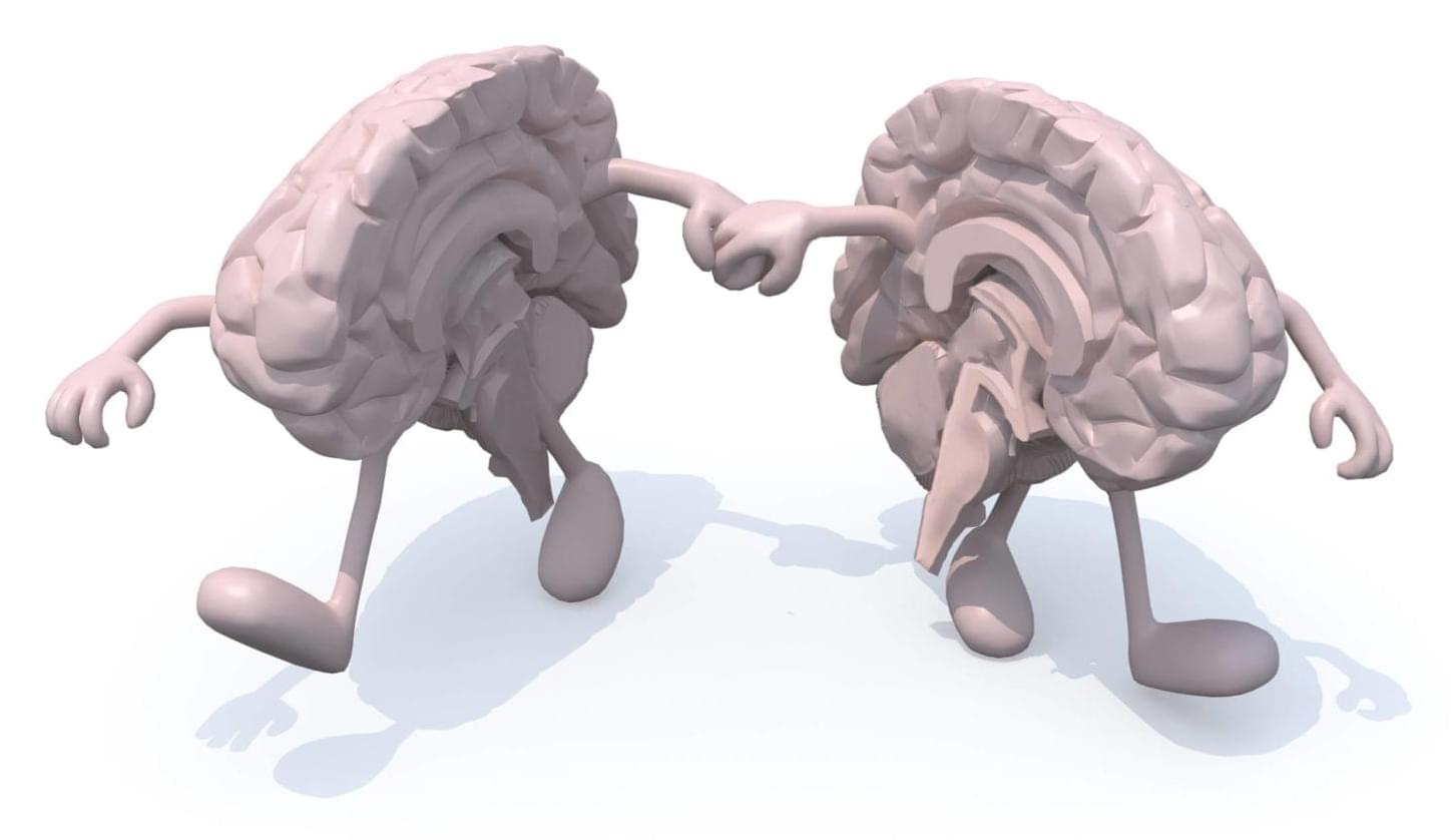 Neuroscientist: Brain Surgery Can Create “Two Conscious Entities ...