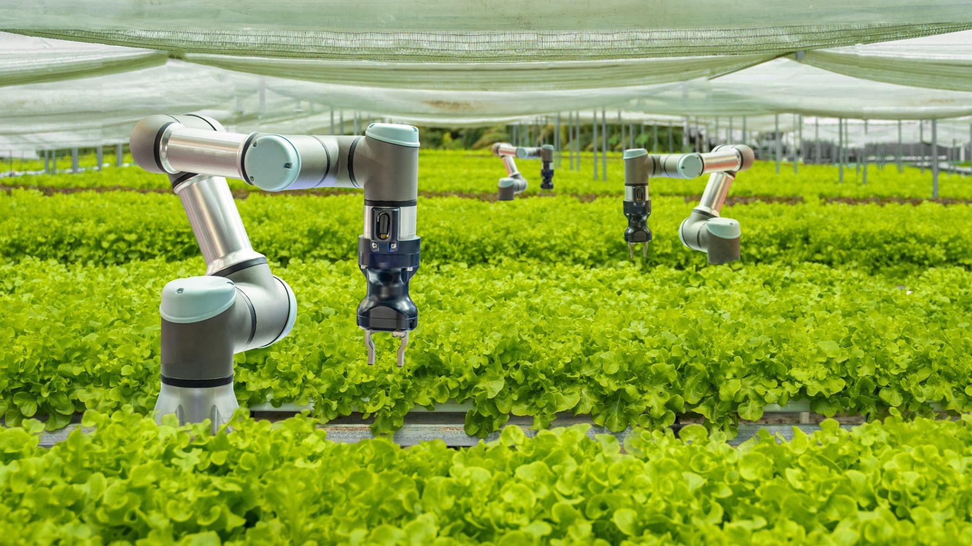 New system helps robotic arm navigate using sound instead of vision ...