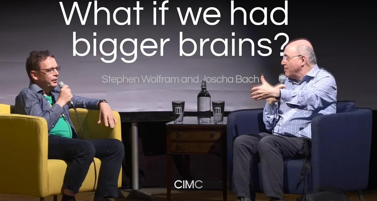 Salon with Stephen Wolfram × Joscha Bach_What if we had bigger brains ...