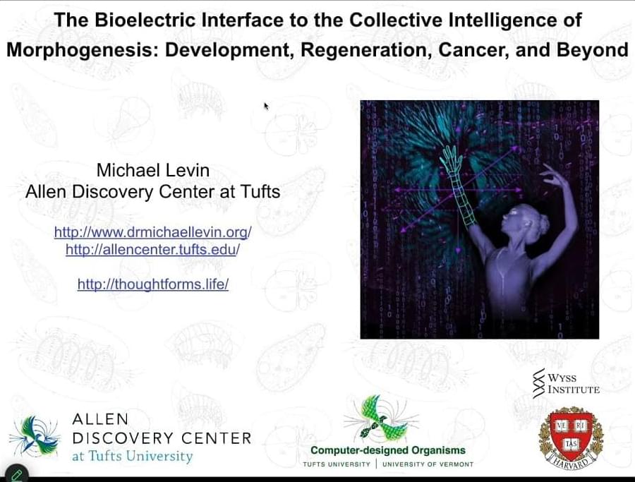 “The Bioelectric Interface to the Collective Intelligence of ...