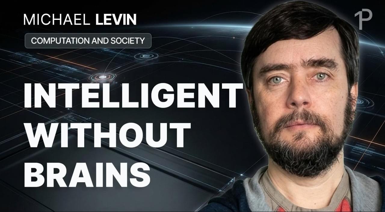 The Future of Understanding – Lifeboat News: The Blog