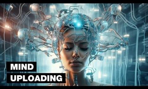 The Insane Future of Mind Uploading [Documentary] – Lifeboat News: The Blog