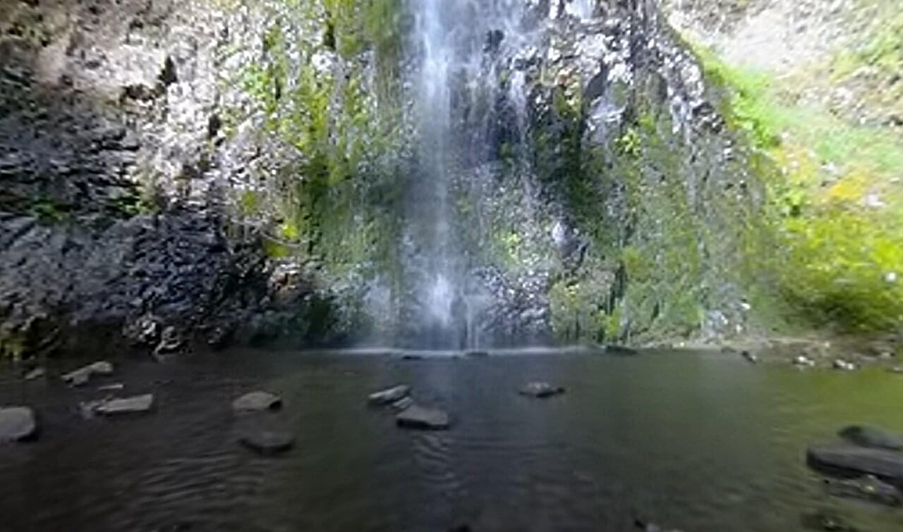 Virtual reality nature scenes ease pain sensitivity, especially with strong sense of presence ...