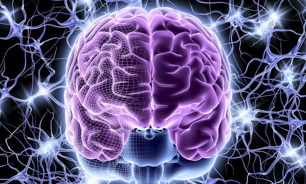 We’ll be uploading our entire MINDS to computers by 2045 and our bodies ...