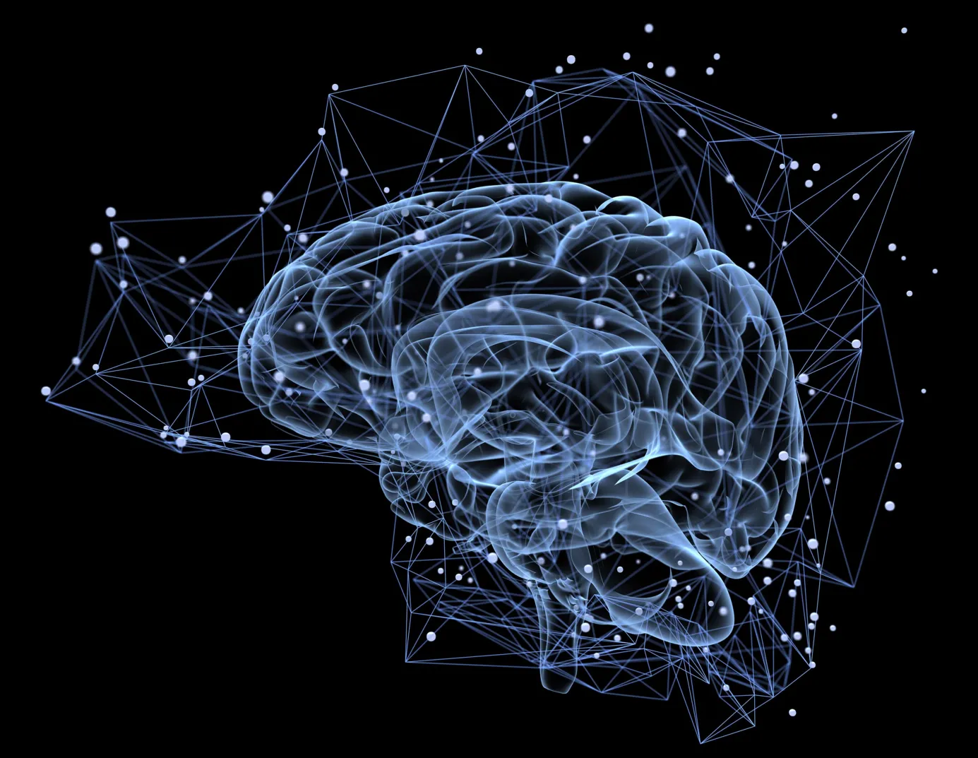 Why some memories last a lifetime while others fade fast – Lifeboat News: The Blog